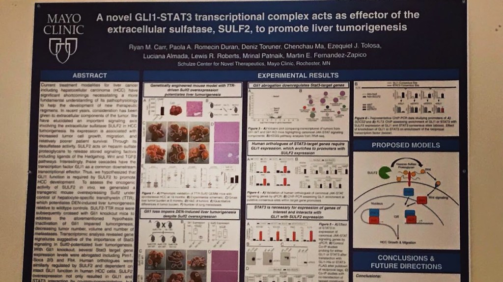 Gallery – Carr Lab